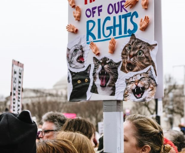 The Four Fs of Building Effective Relationships with Lawmakers ...